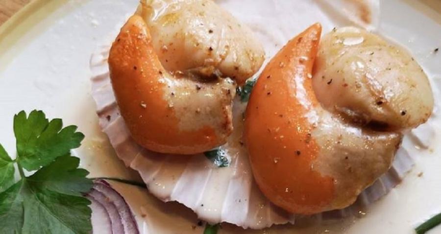 Milord : Spécialiste de la machine sous-vide et des sacs